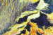 Volcanoes – Beth Neville