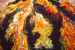 Volcanoes – Beth Neville