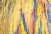 Volcanoes – Beth Neville